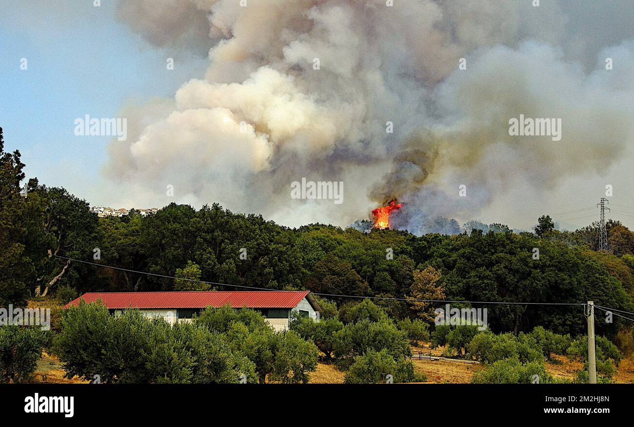 Feu foret hi-res stock photography and images - Alamy