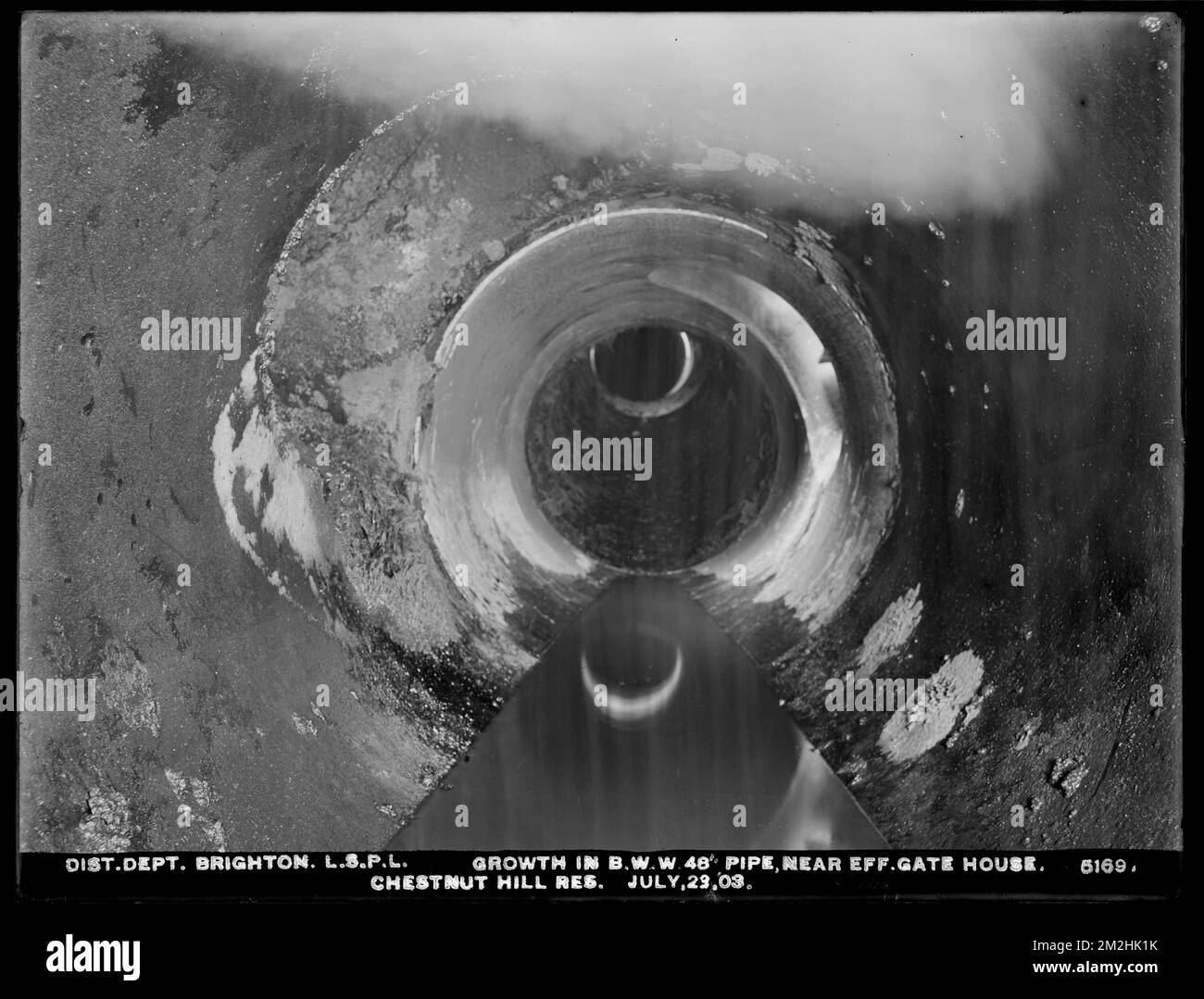 Distribution Department, Low Service Pipe Lines, Chestnut Hill ...