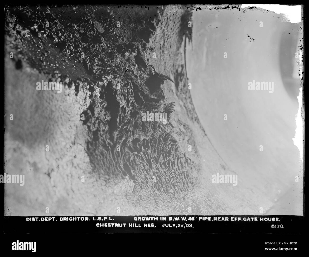 Distribution Department, Low Service Pipe Lines, Chestnut Hill ...