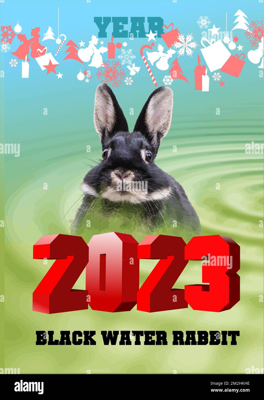 Happy Chinese New Year of Black Water Rabbit Greeting Banner Card. 3d ...