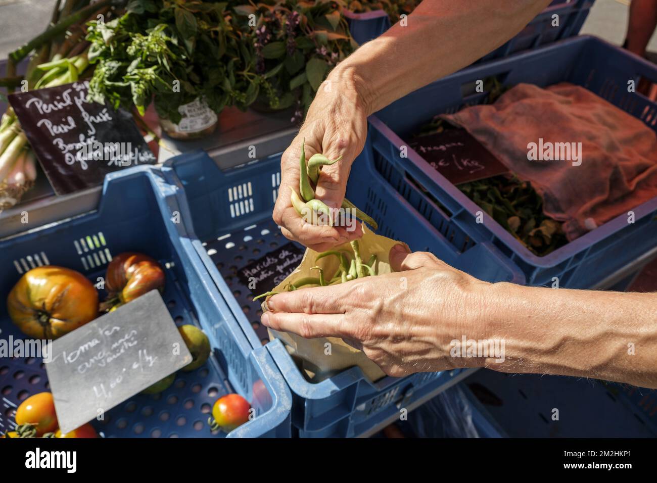 Carré potager hi-res stock photography and images - Alamy