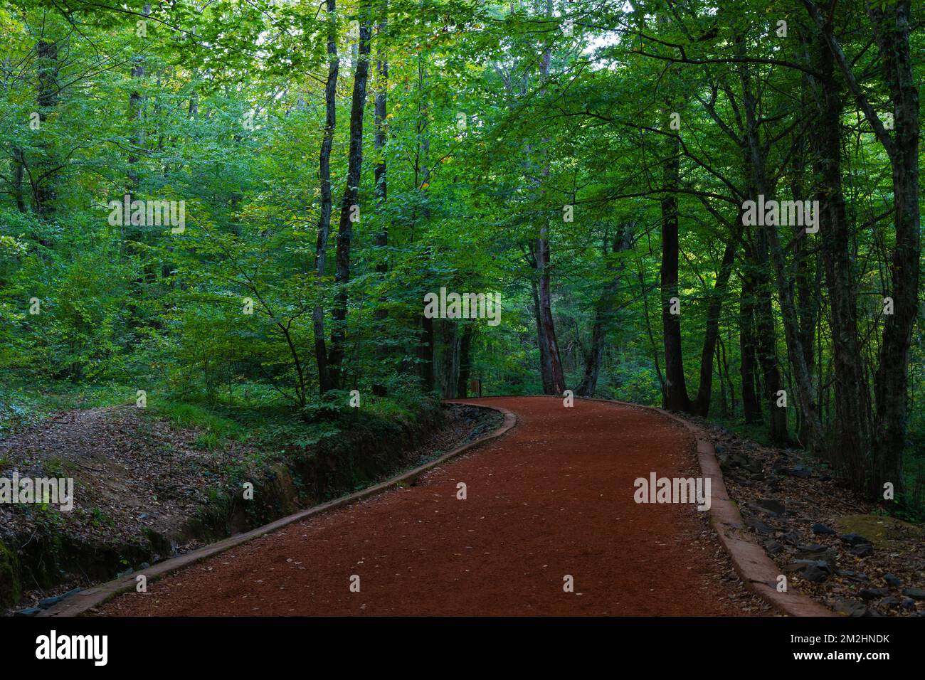 Hiking or Jogging trail background photo. Healthy lifestyle concept ...