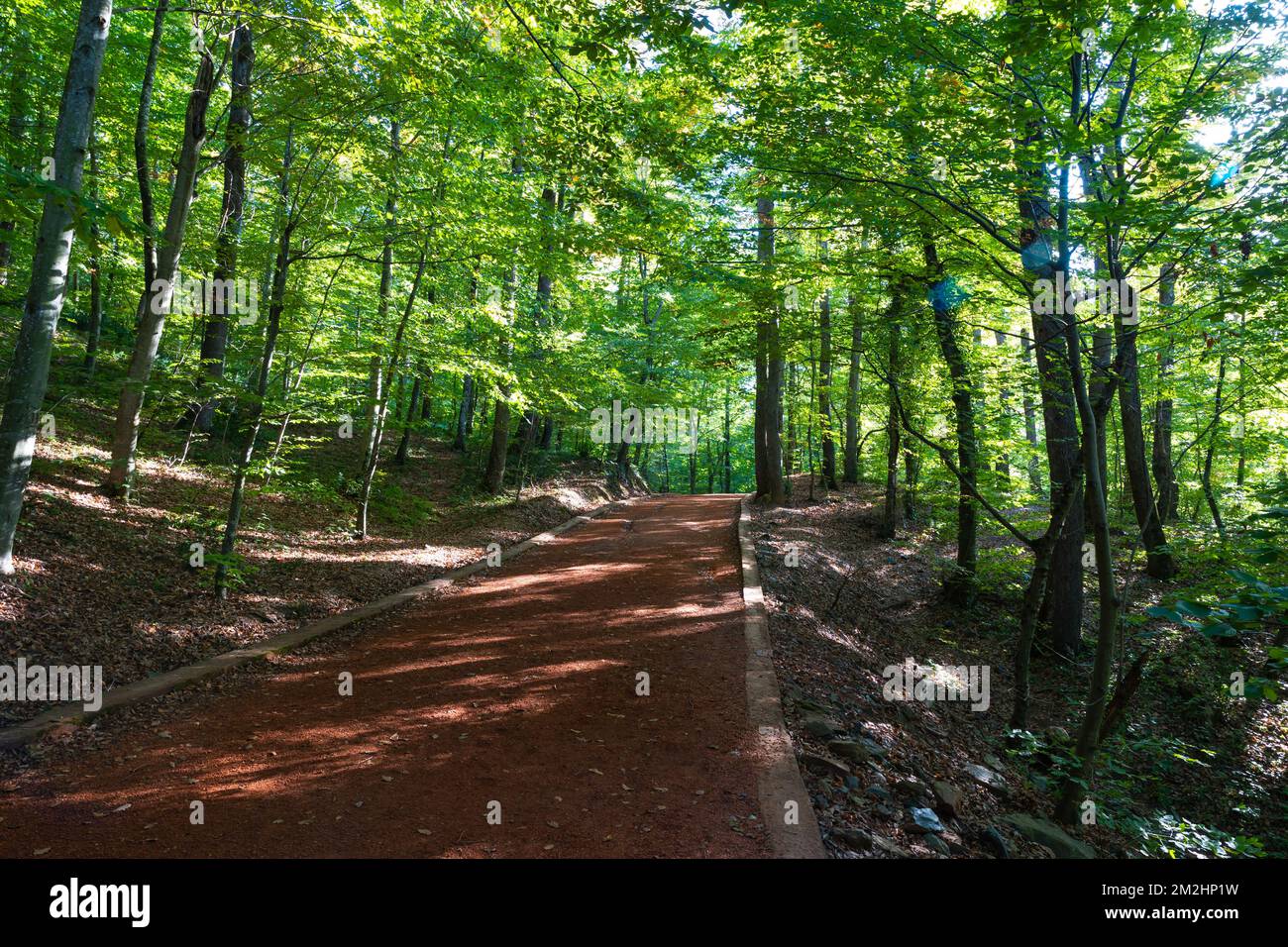 Belgrad Forest in Istanbul. Jogging or hiking trail in a forest ...