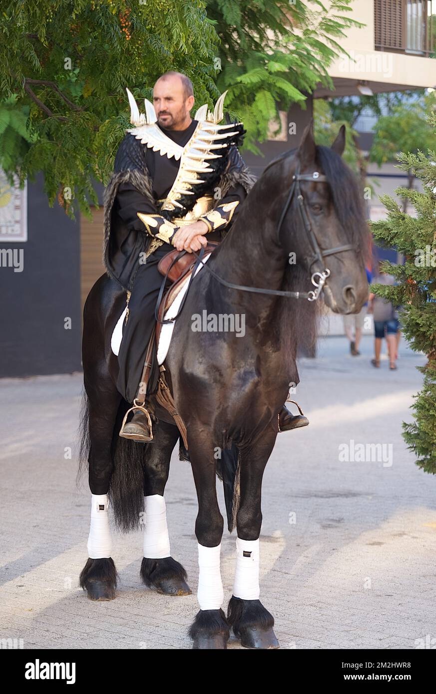 Horses in démonstration | Chevaux de parade 15/08/2018 Stock Photo - Alamy