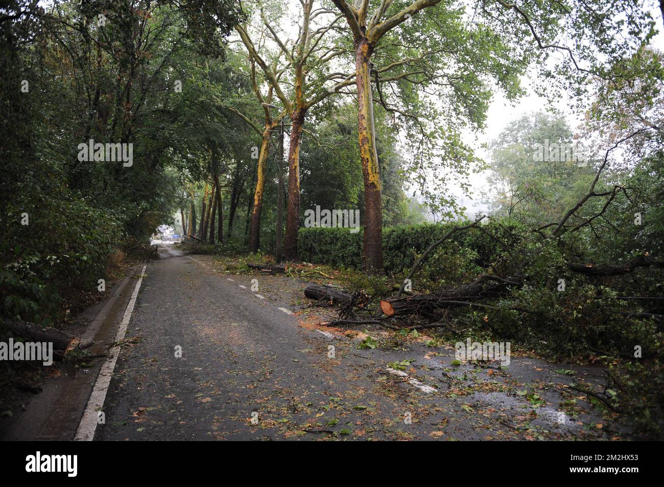 Illustration picture shows damaged ripped off tree branches in Hamoir ...