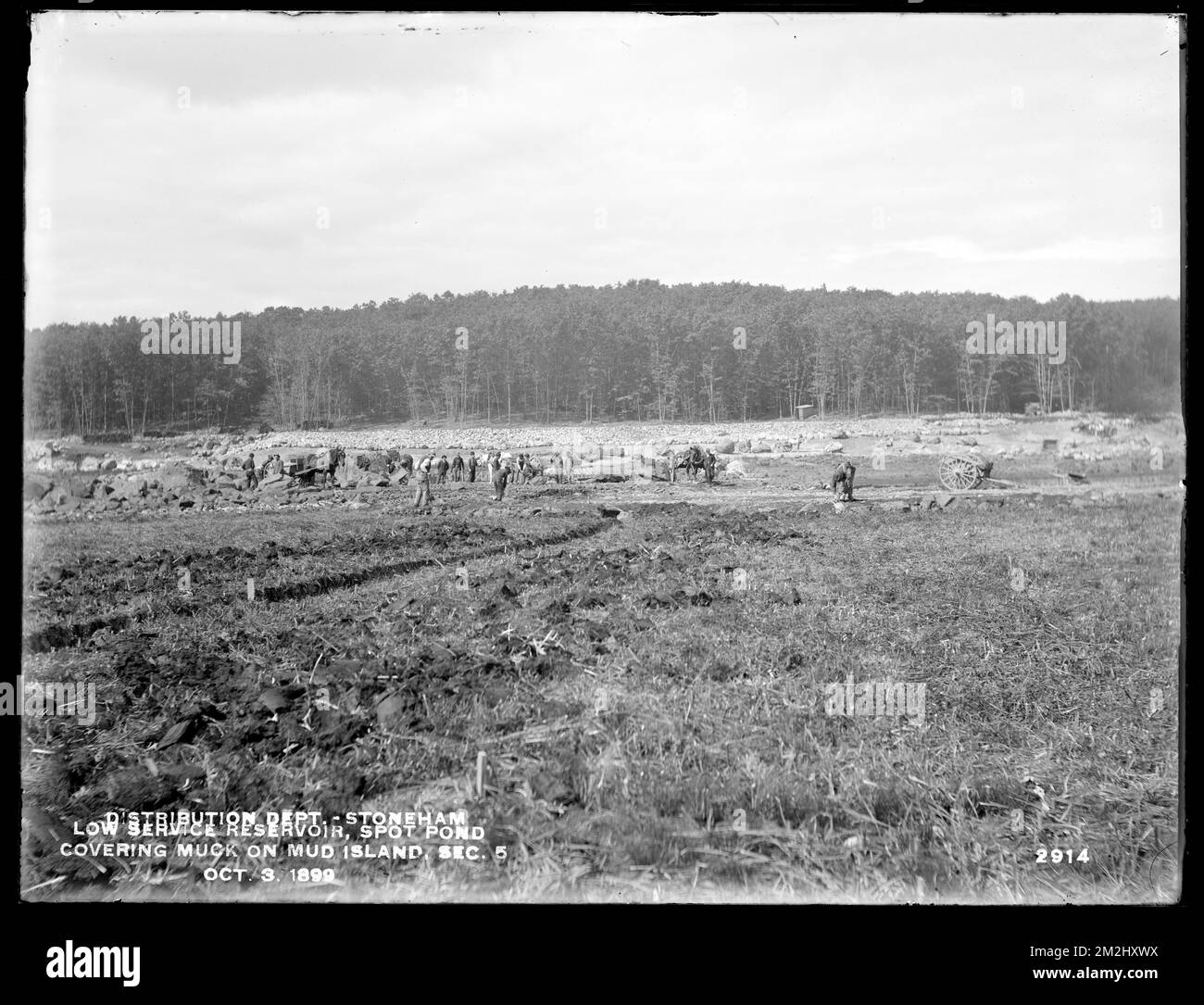 Distribution Department, Low Service Spot Pond Reservoir, covering muck ...