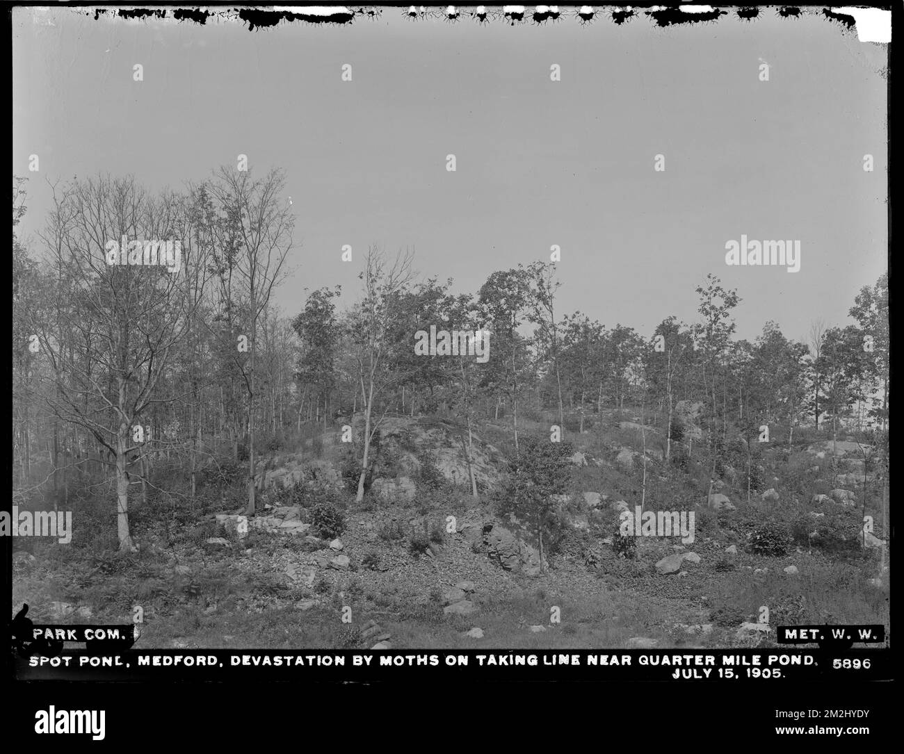 Moths spot Black and White Stock Photos & Images - Alamy