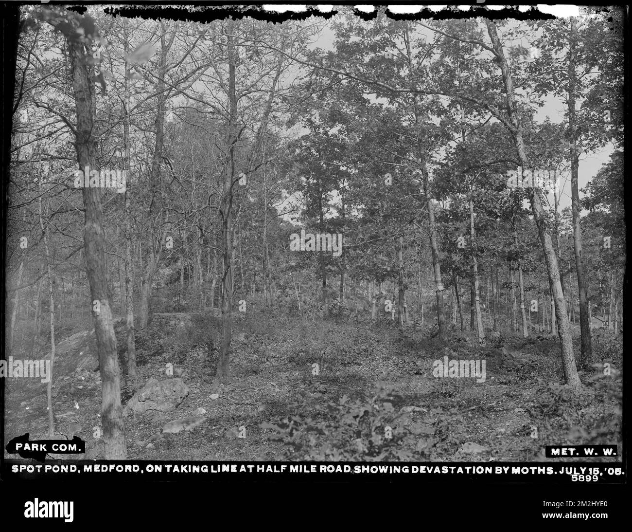 Moths spot Black and White Stock Photos & Images - Alamy