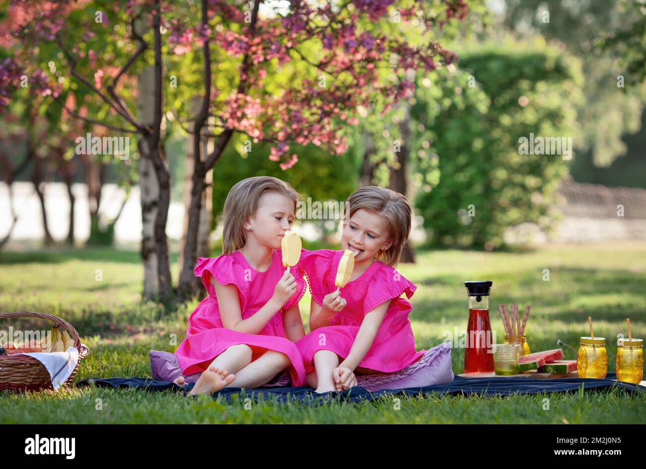 Happy twin sisters Children eat ice cream at picnic. Portrait of two child girls wear pink ...