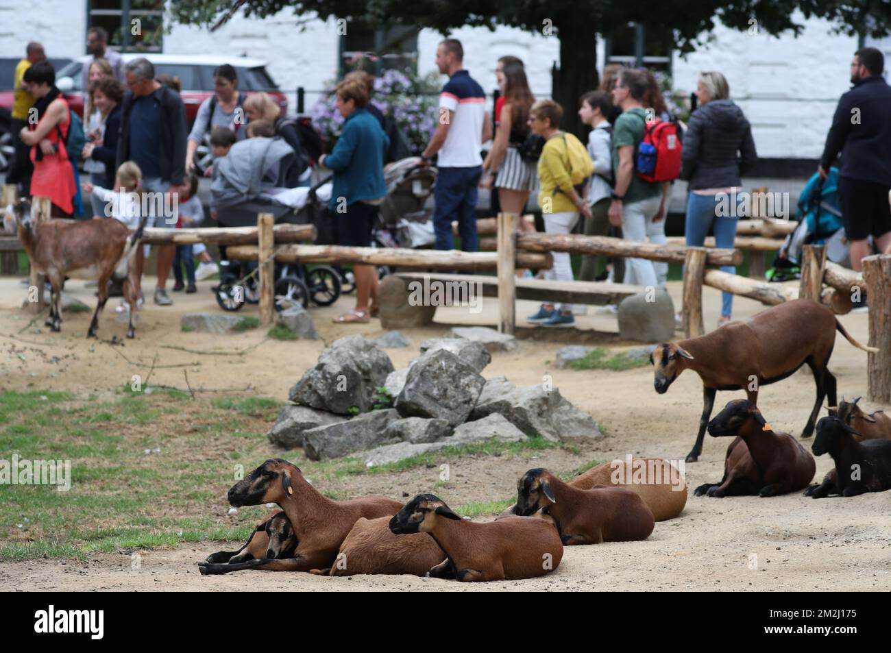 Illustration picture shows the Pairi Daiza animal park, Monday 20 ...