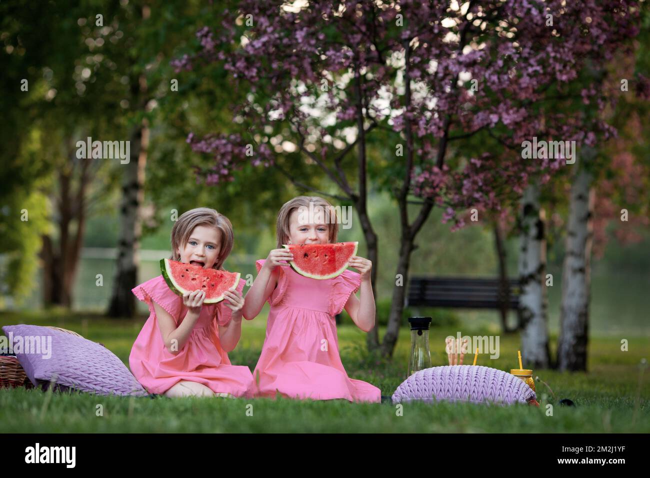 Kids Twin eat watermelon, sit on grass and have picnic in nature public ...