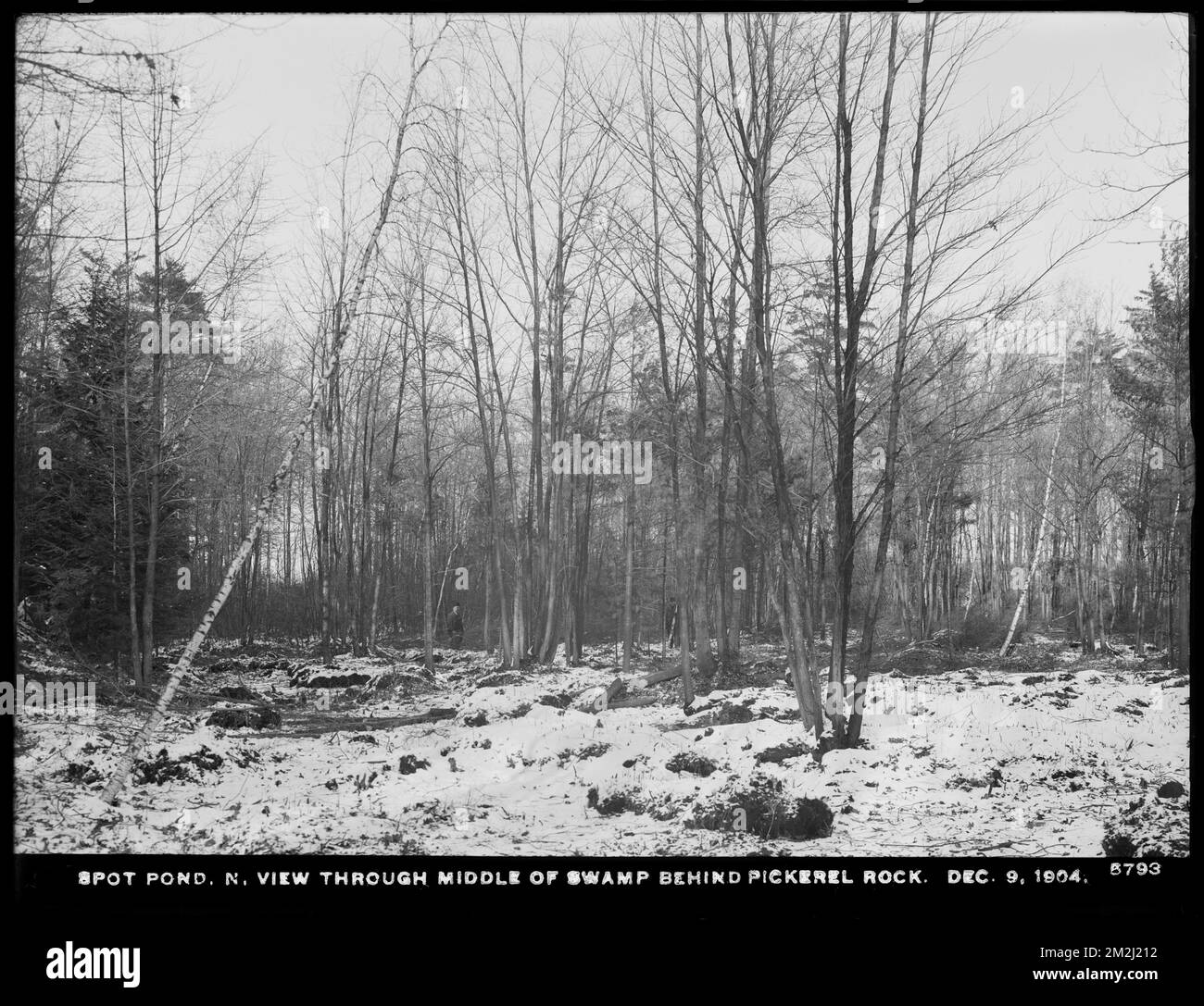 Distribution Department, Low Service Spot Pond Reservoir, northerly ...