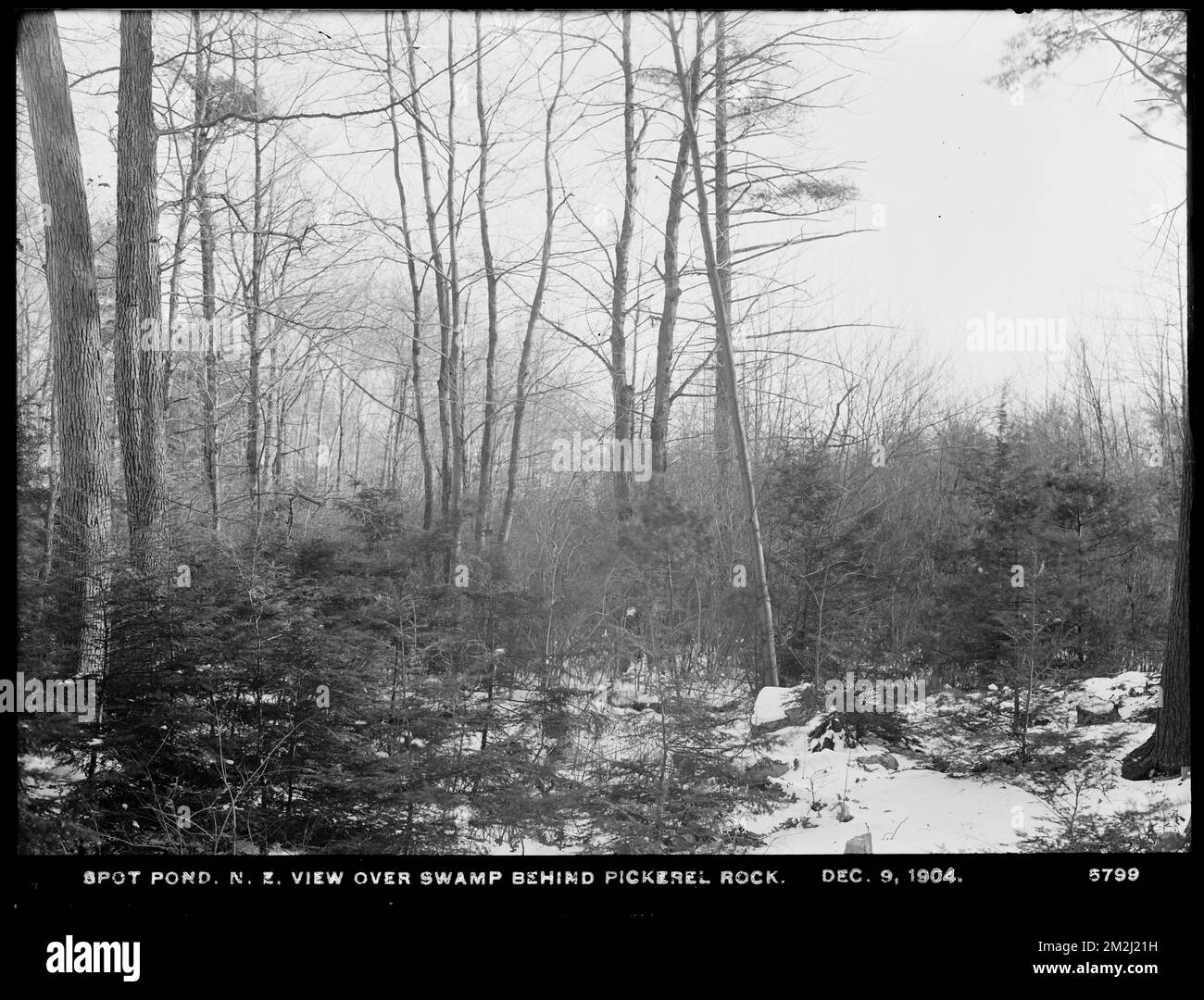 Distribution Department, Low Service Spot Pond Reservoir, northeasterly ...