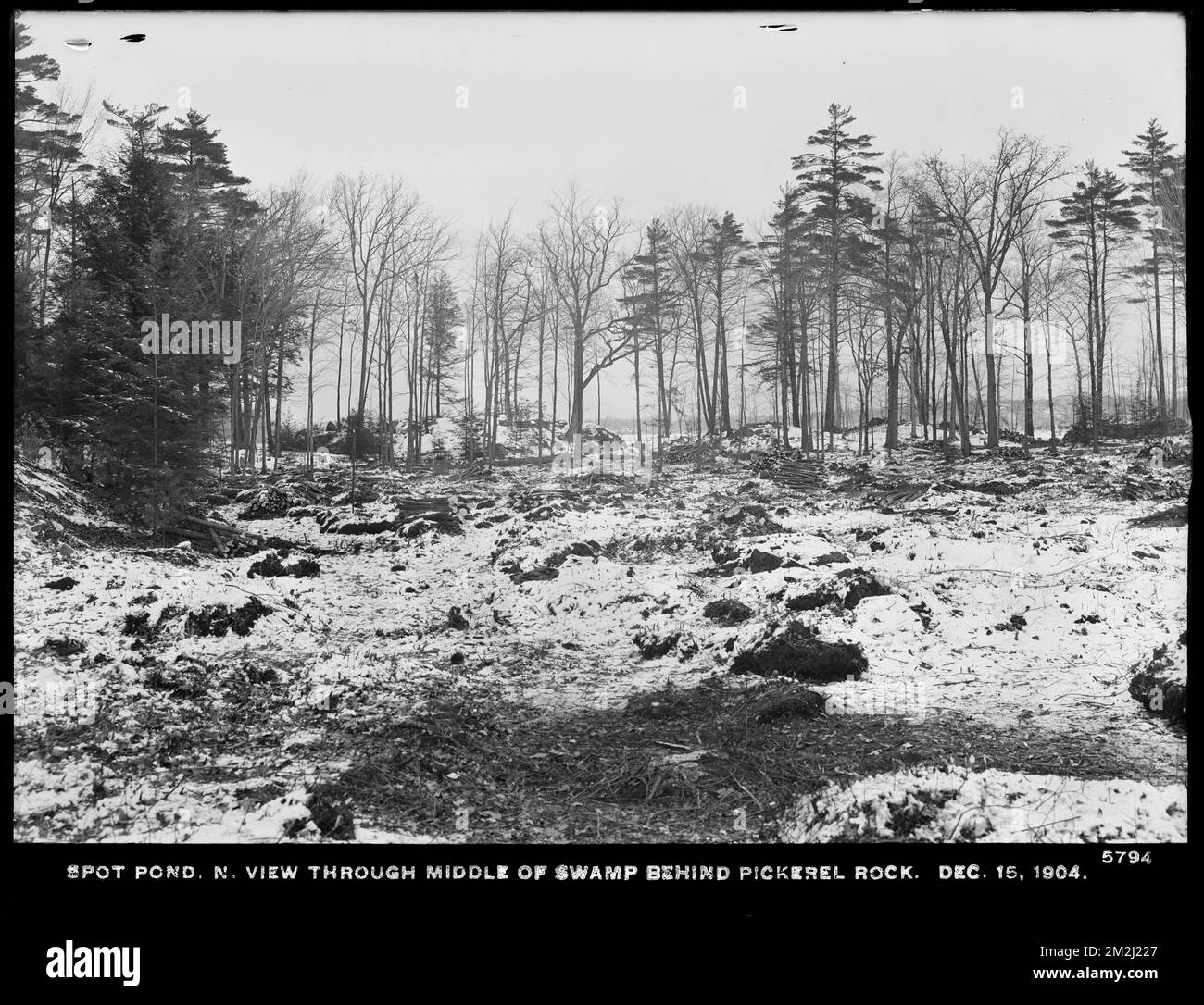 Distribution Department, Low Service Spot Pond Reservoir, northerly ...