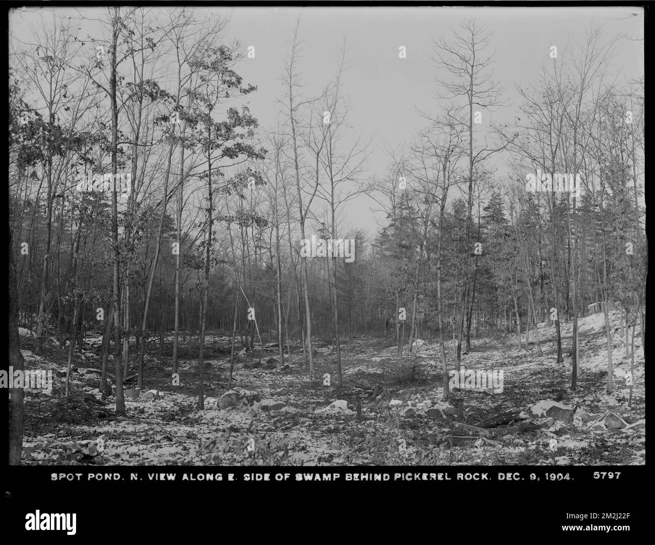Distribution Department, Low Service Spot Pond Reservoir, northerly ...