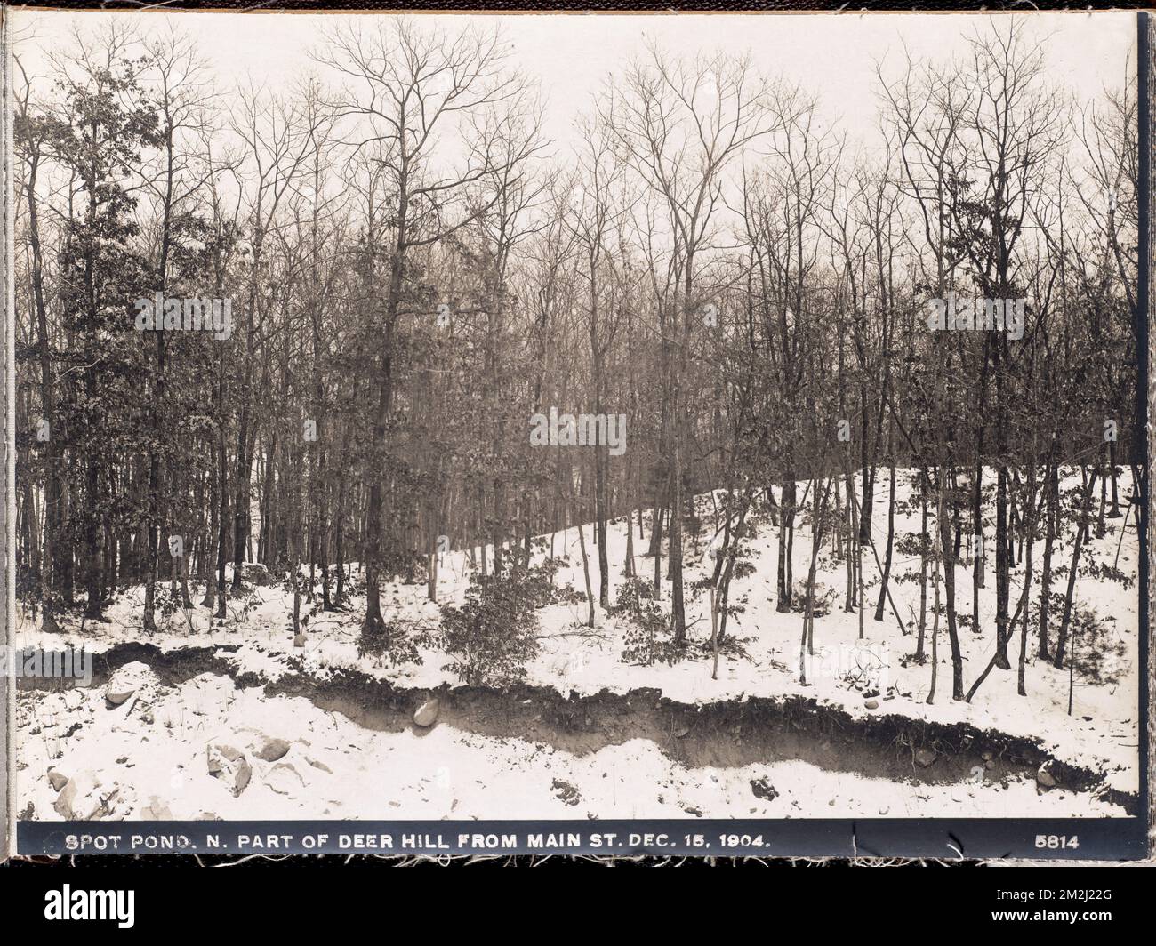 Distribution Department, Low Service Spot Pond Reservoir, northerly ...