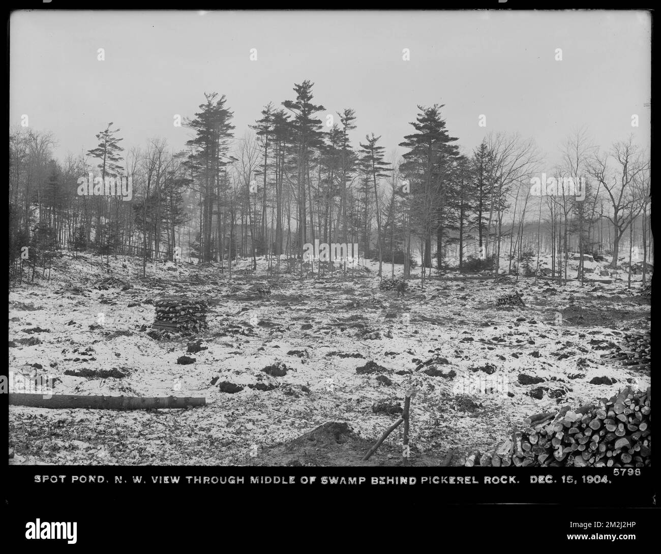 Distribution Department, Low Service Spot Pond Reservoir, northwesterly ...