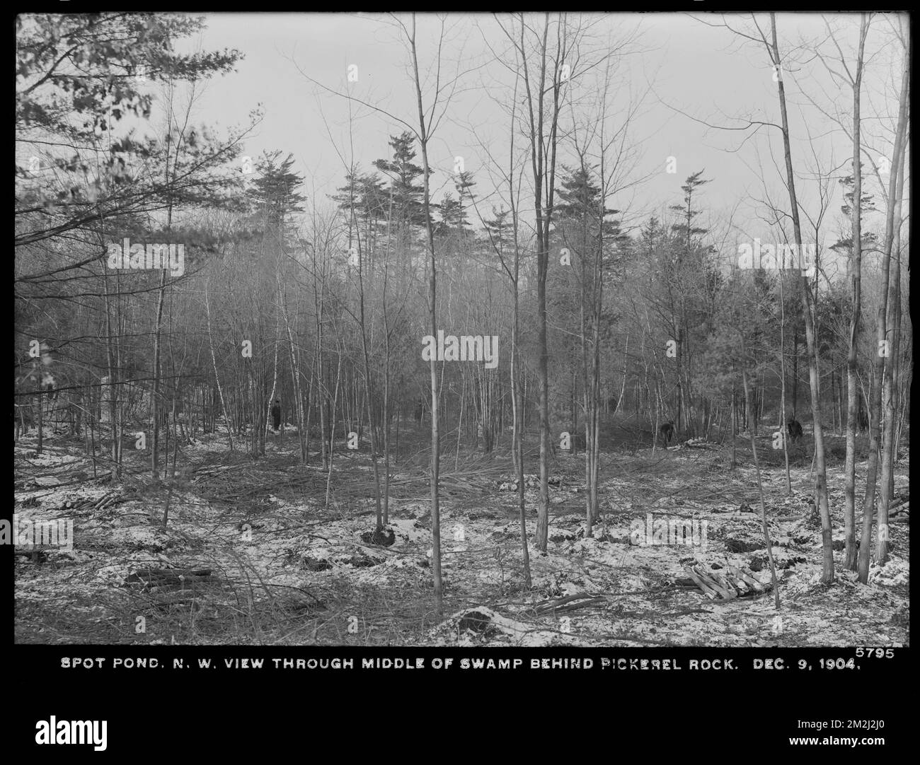 Distribution Department, Low Service Spot Pond Reservoir, northwesterly ...