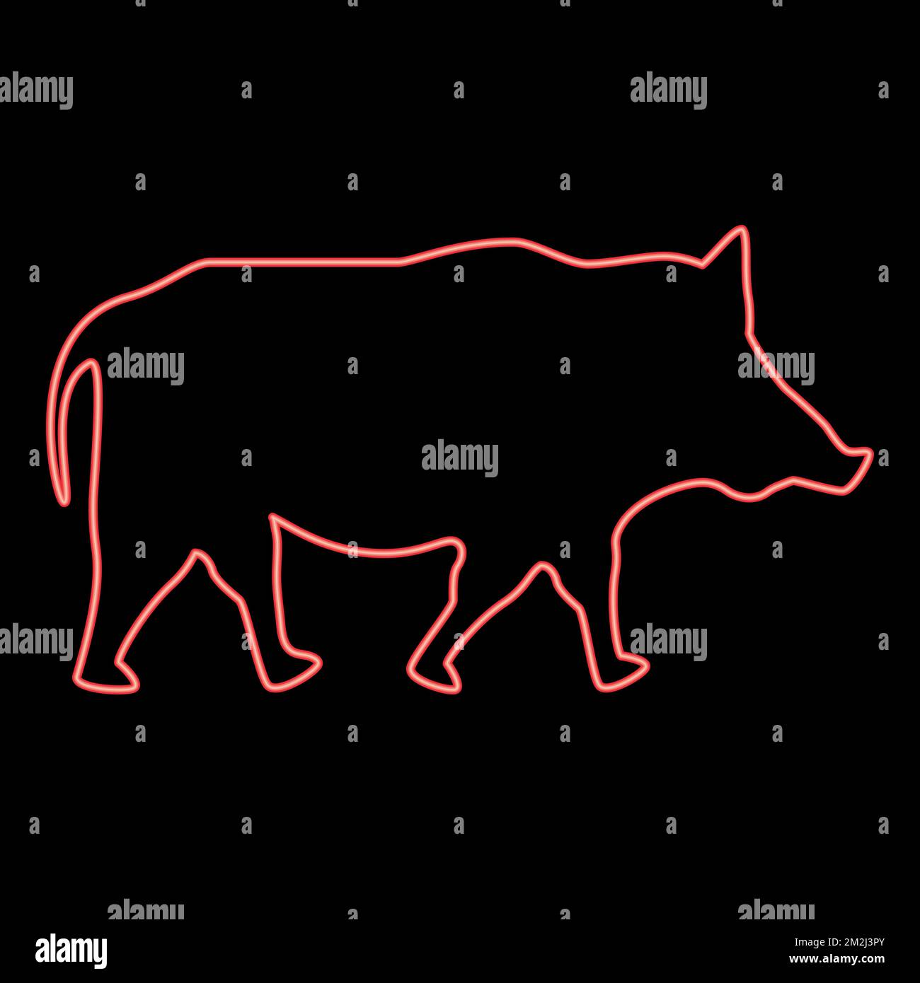 Neon wild boar Wild pig Hog Warthog red color vector illustration image ...