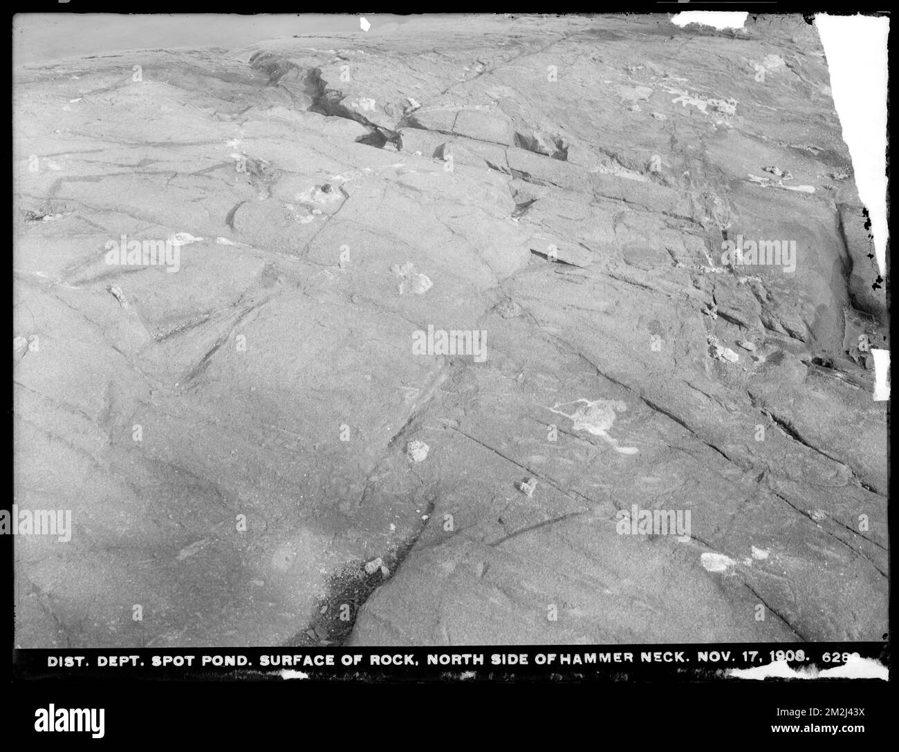 Distribution Department, Low Service Spot Pond Reservoir, surface of ...