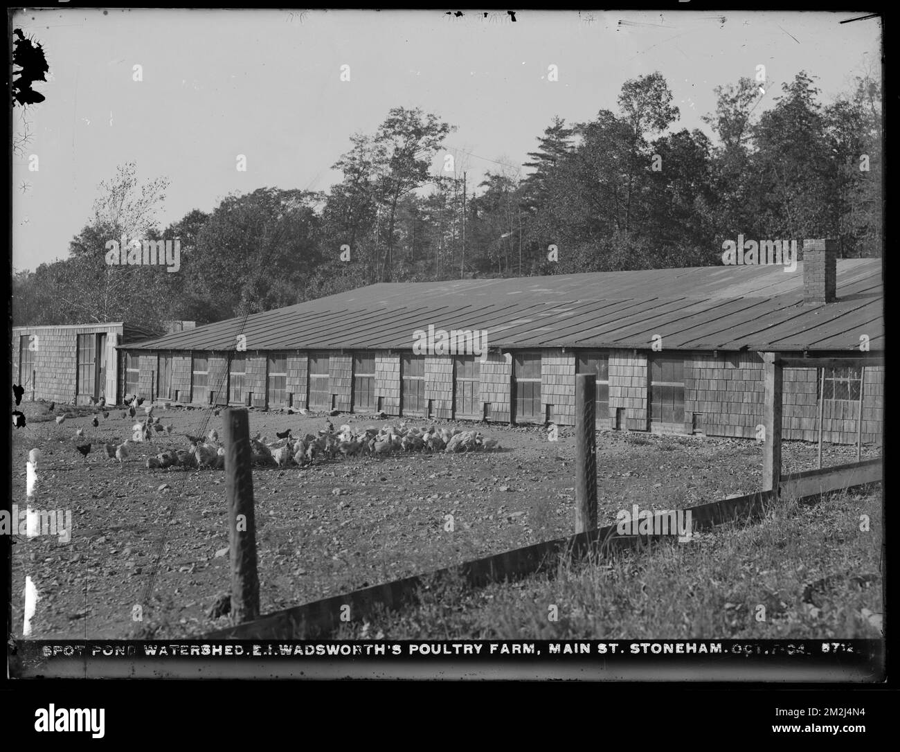 Distribution Department, Low Service Spot Pond Reservoir Watershed, E ...