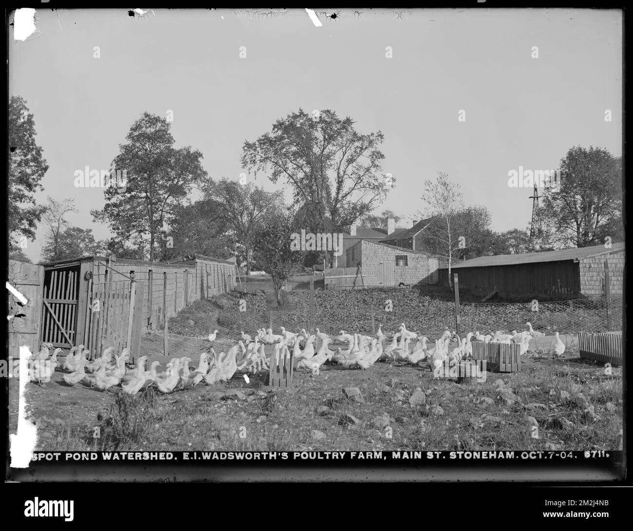 Distribution Department, Low Service Spot Pond Reservoir Watershed, E ...
