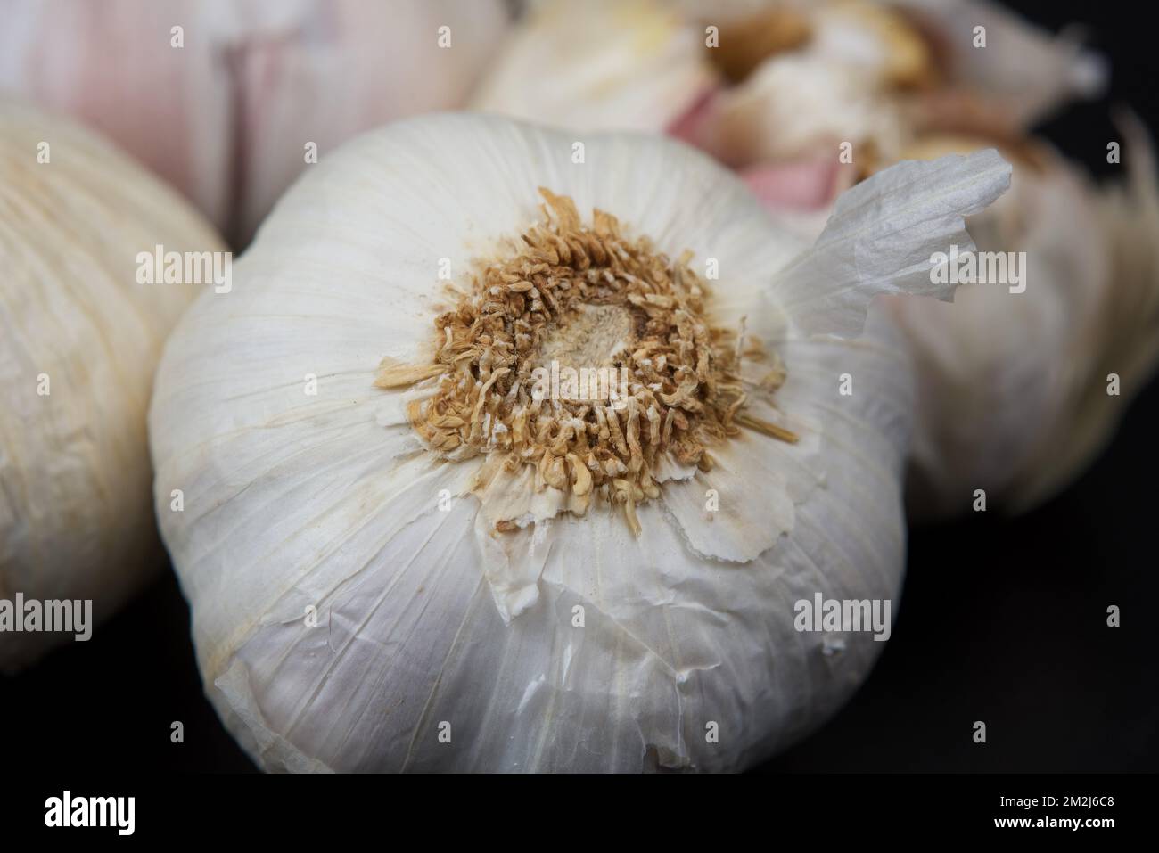 Clove garlic | Gousse d'ail 27/08/2018 Stock Photo - Alamy