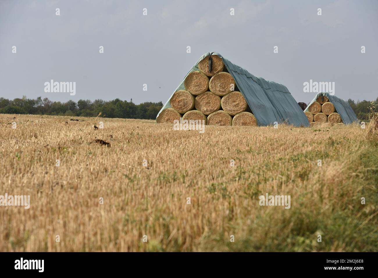 Agriculture agricole hi-res stock photography and images - Alamy