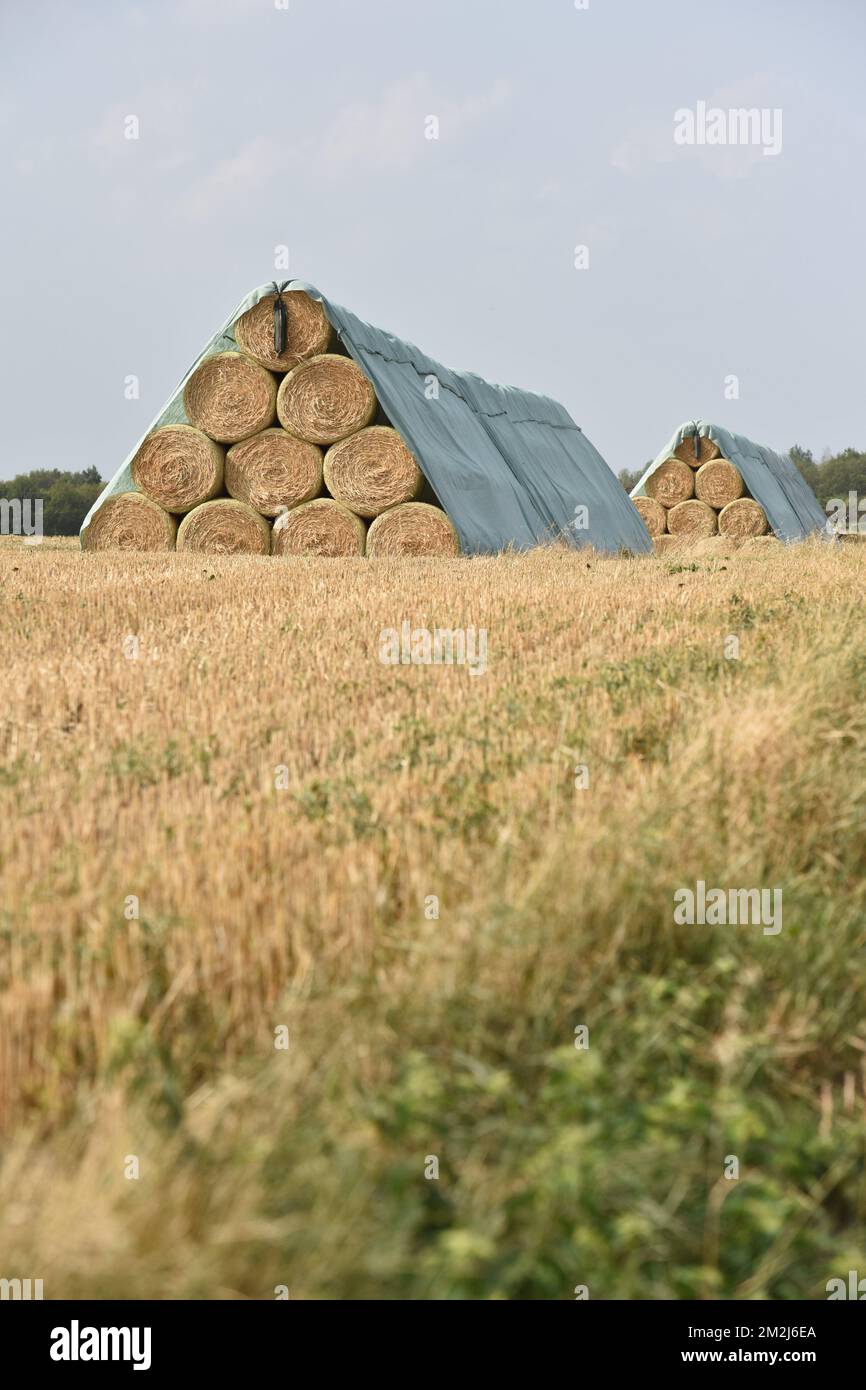 Agriculture agricole hi-res stock photography and images - Alamy