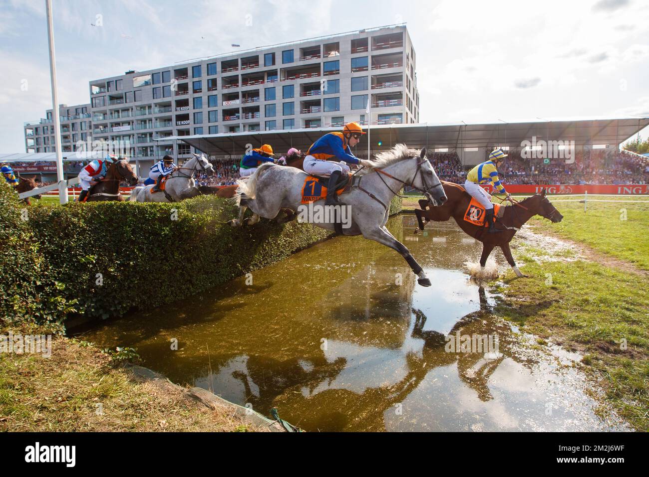 Illustration picture shows horses and their jockeys in action at the ...