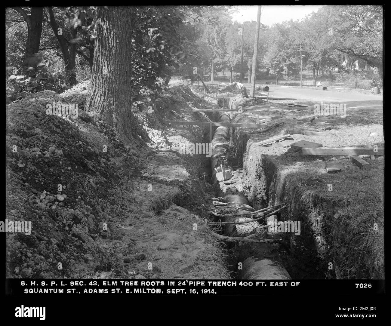 Distribution Department, Southern High Service Pipe Lines, Section 43 ...
