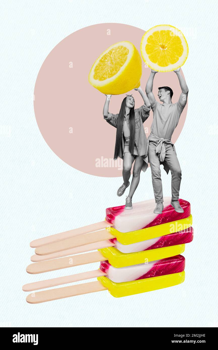 Creative photo 3d collage artwork postcard poster picture of funky ...