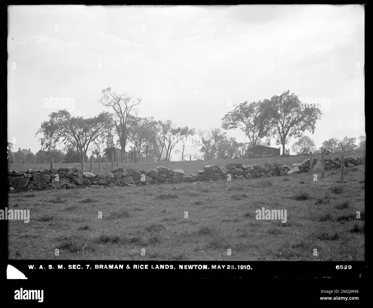 Rice section Black and White Stock Photos & Images - Alamy