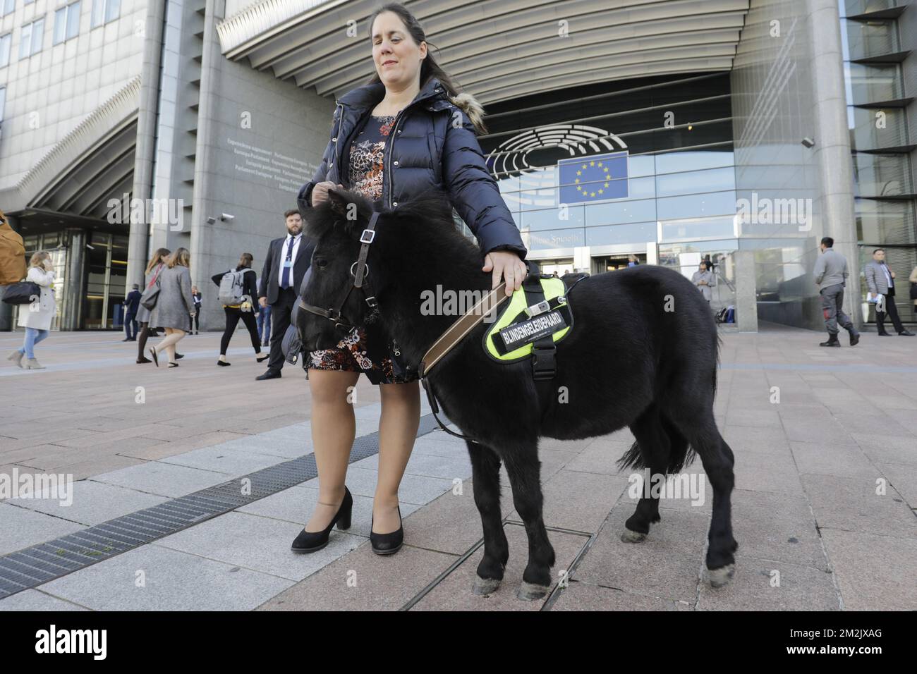 Daveugle hi-res stock photography and images - Alamy