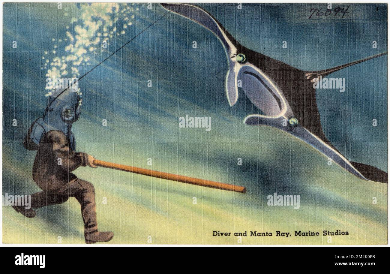 Diver and manta ray, Marine Studios , Sports & recreation facilities ...