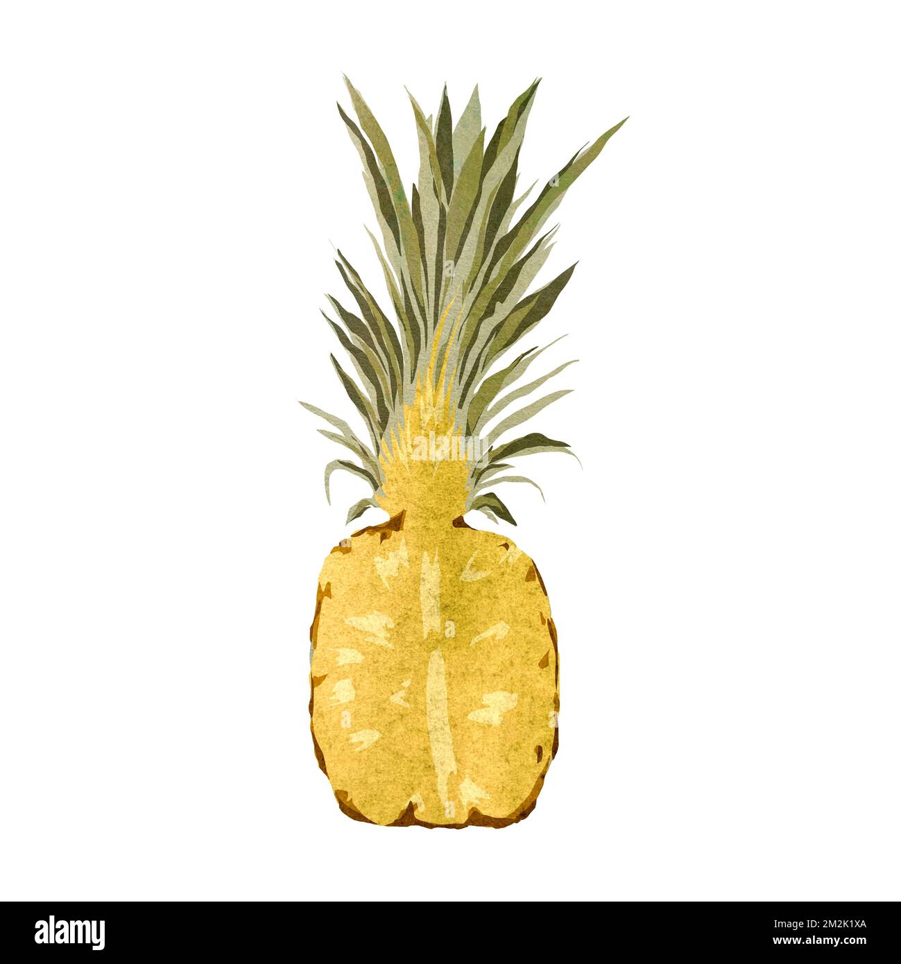 Pineapple collage element hi-res stock photography and images - Alamy