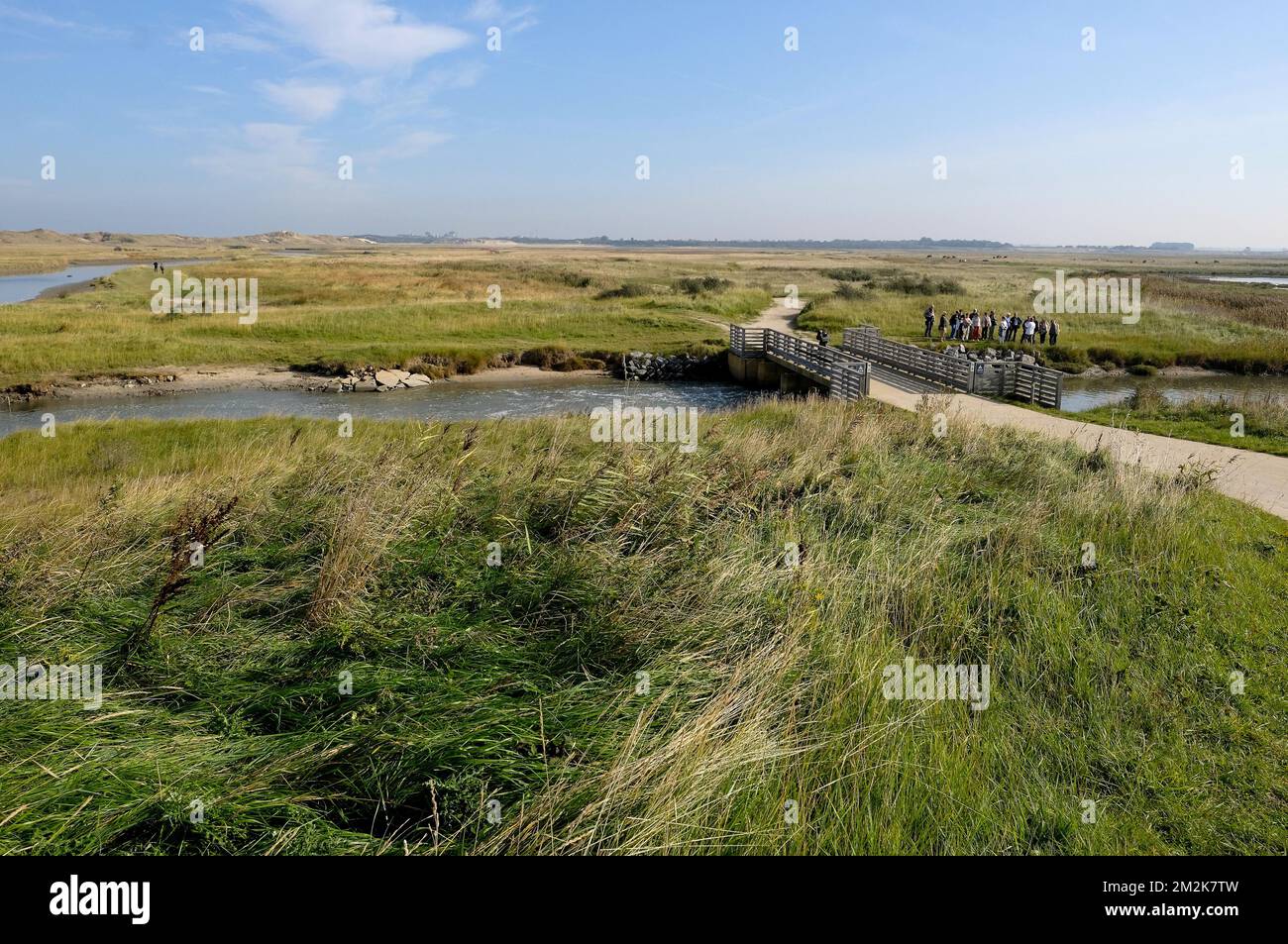 Oiseaux vogels hi-res stock photography and images - Alamy