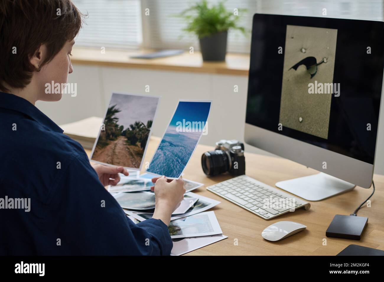 Young photographer sitting at her workplace in front of computer ...