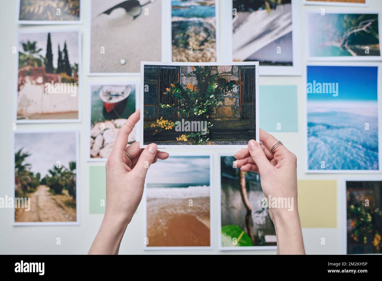 High angle view of photographer working with professional photos, she ...