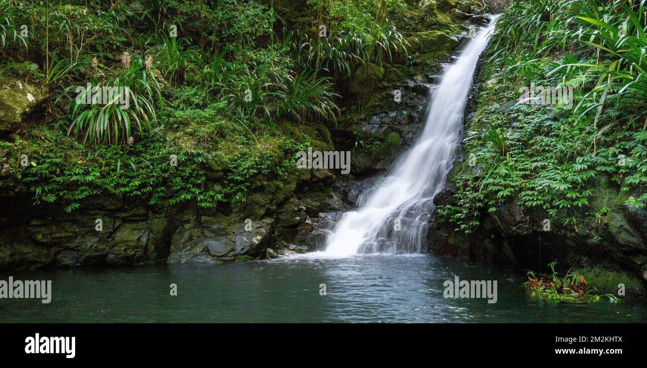 small waterfall cascading into a pond Stock Photo - Alamy