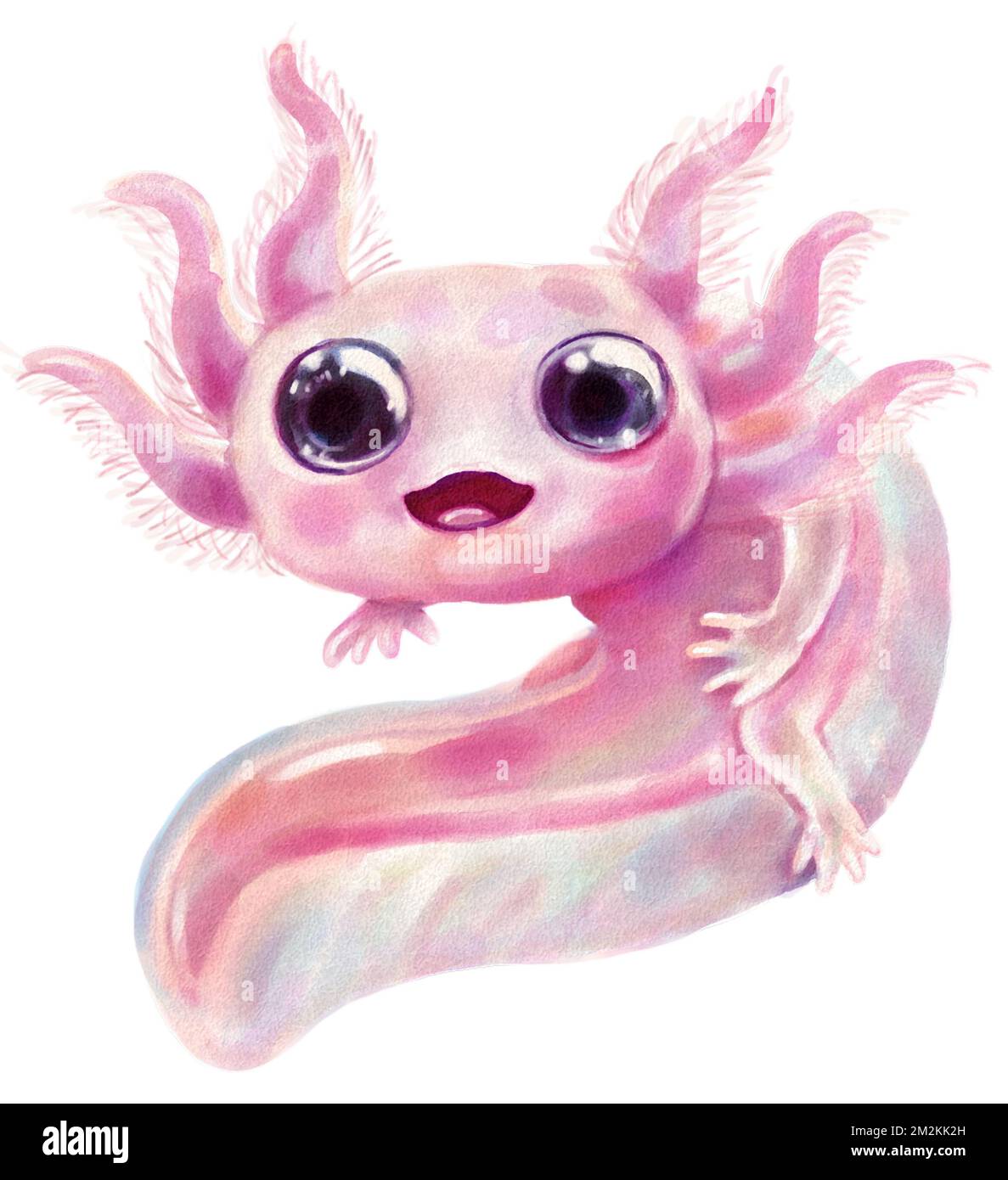 Cute axolotl, watercolor digital illustration Stock Photo - Alamy