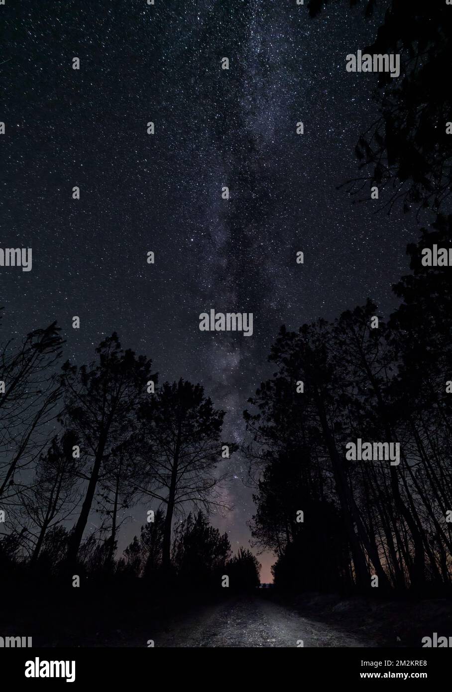 Milky way over the track surrounded by trees Stock Photo - Alamy