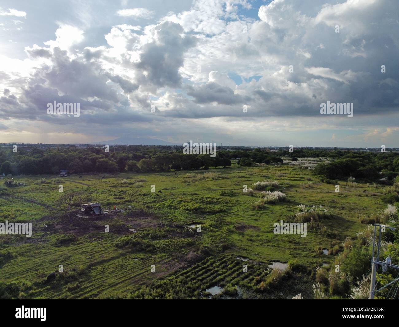 An aerial view of lush green field in a rural area under blue cloudy ...