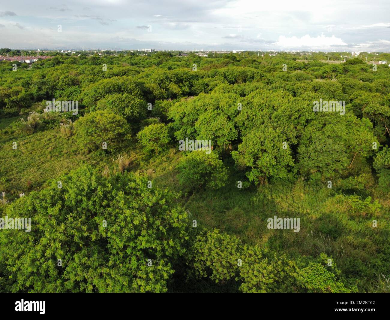 An aerial view of lush green field with bushes and trees in a rural ...