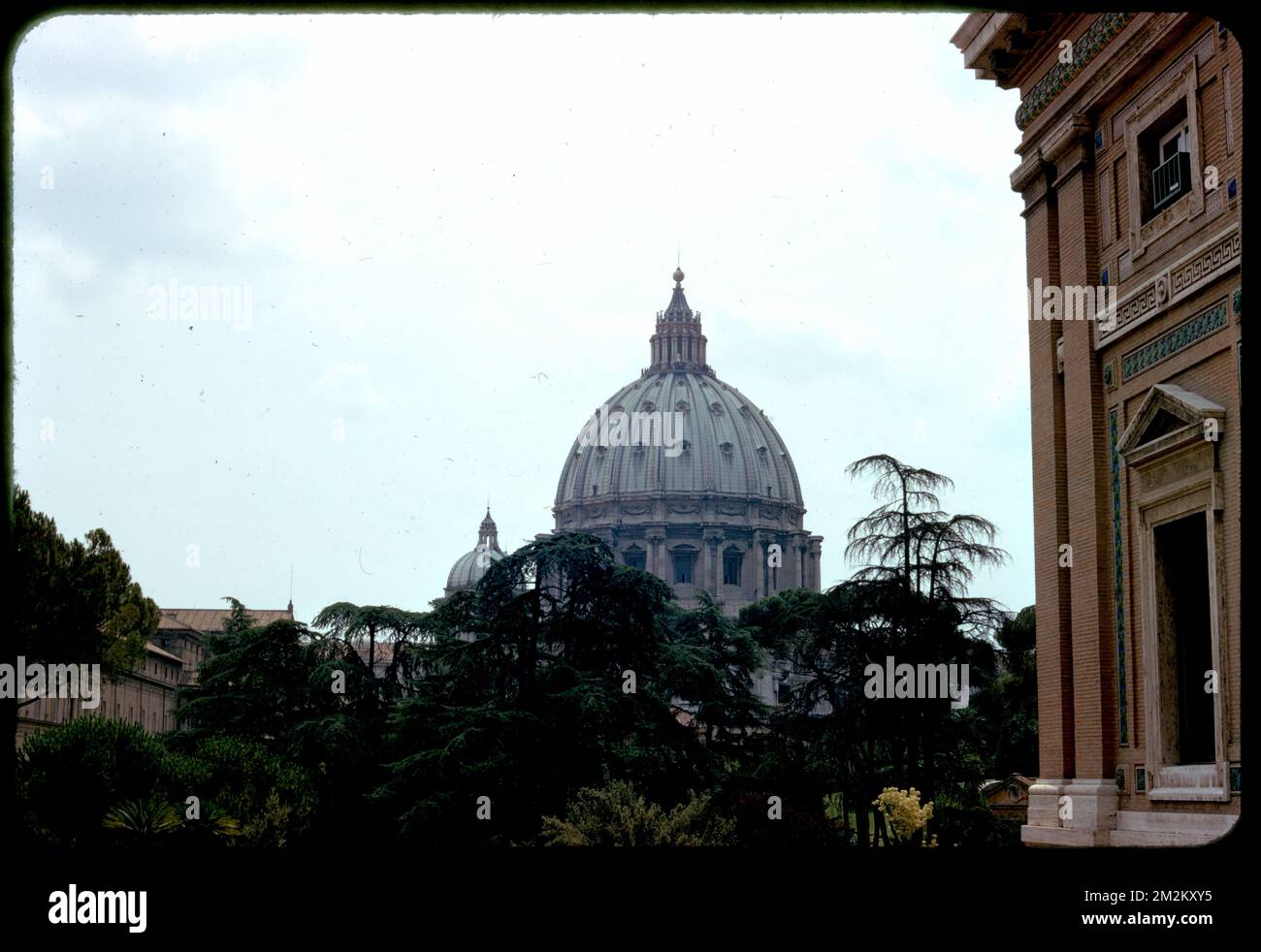 Dome of St. Peter's Basilica, Vatican City, seen over trees , Basilicas ...