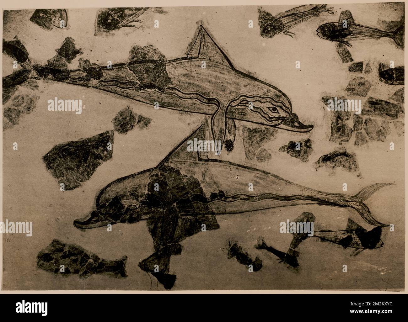 Palace of knossos dolphins hi-res stock photography and images - Alamy