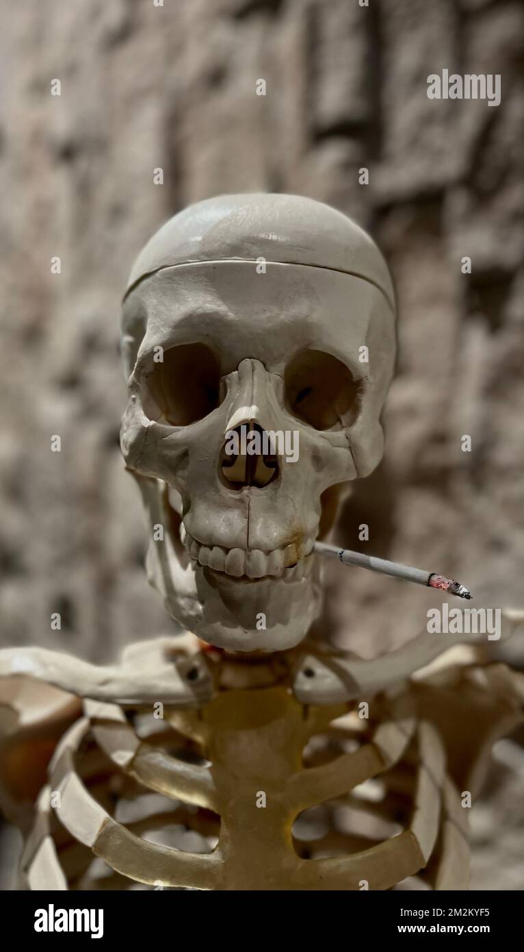 A vertical shot of a skeleton with a cigarette - smoking kills concept ...