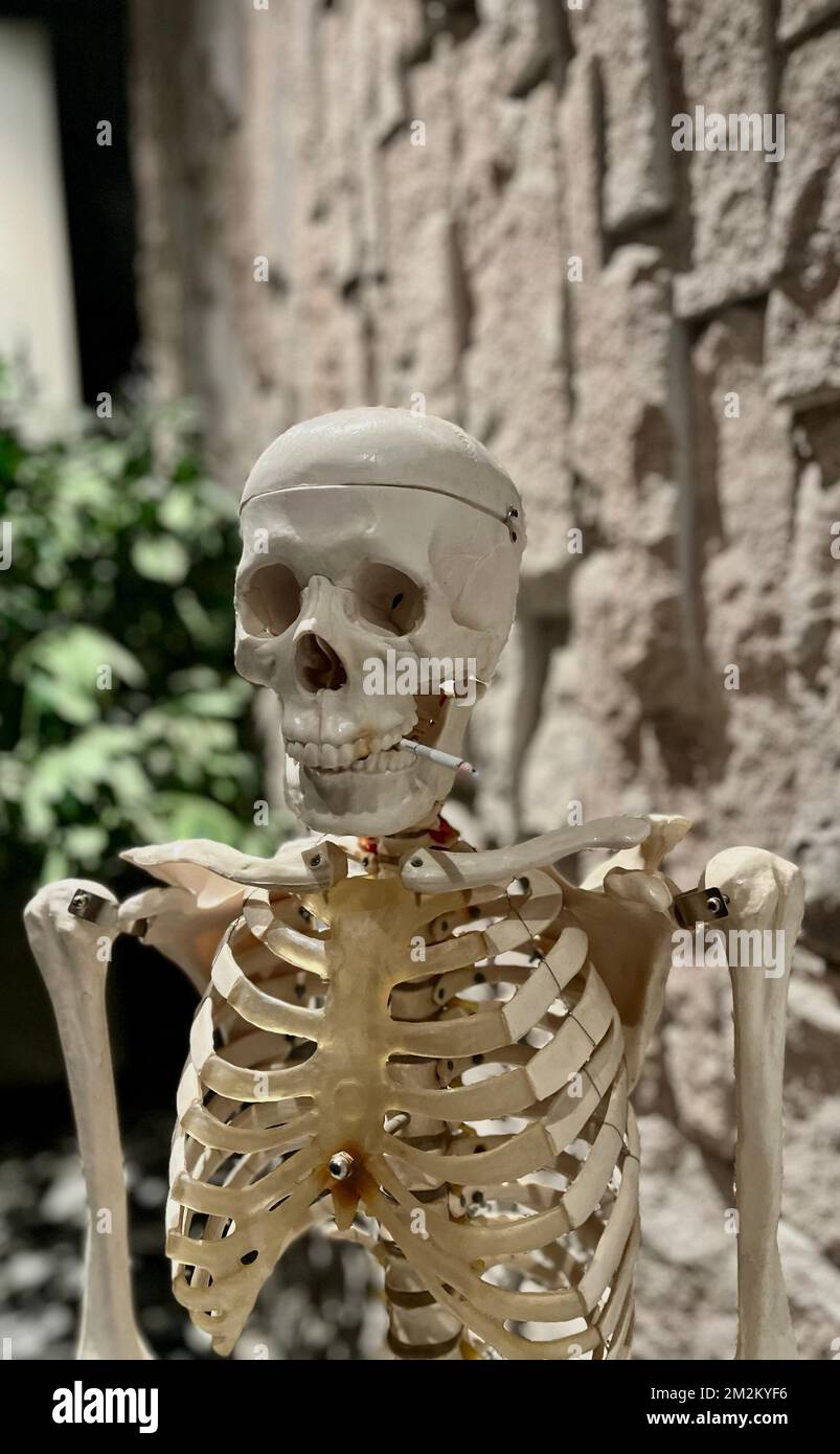 A vertical shot of a skeleton with a cigarette - smoking kills concept ...