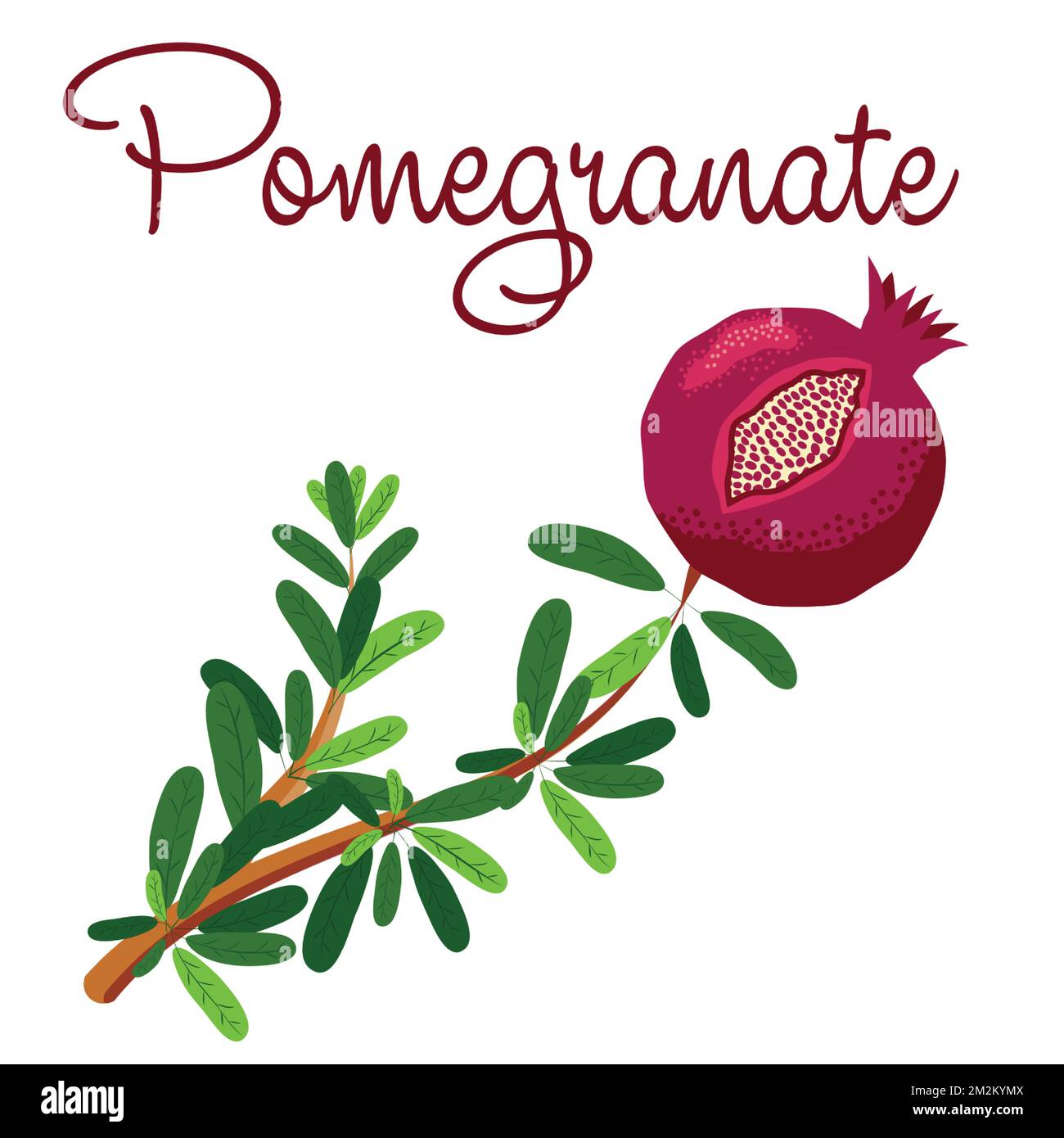 Pomegranate branches with fruits and flowers. Symbol of good luck ...
