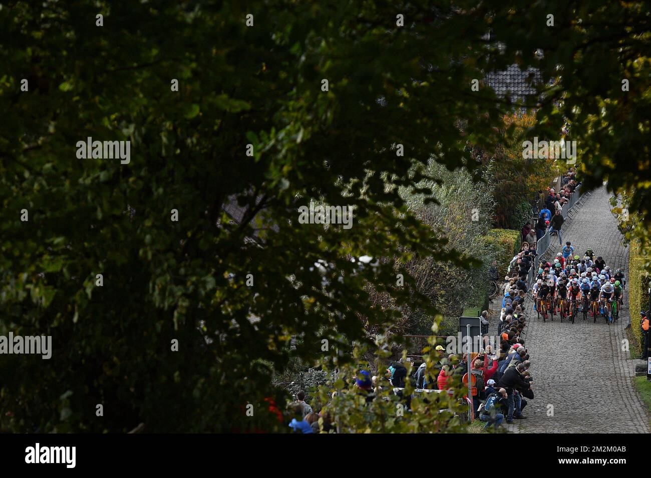 Illustration picture taken during the men's race during the ...